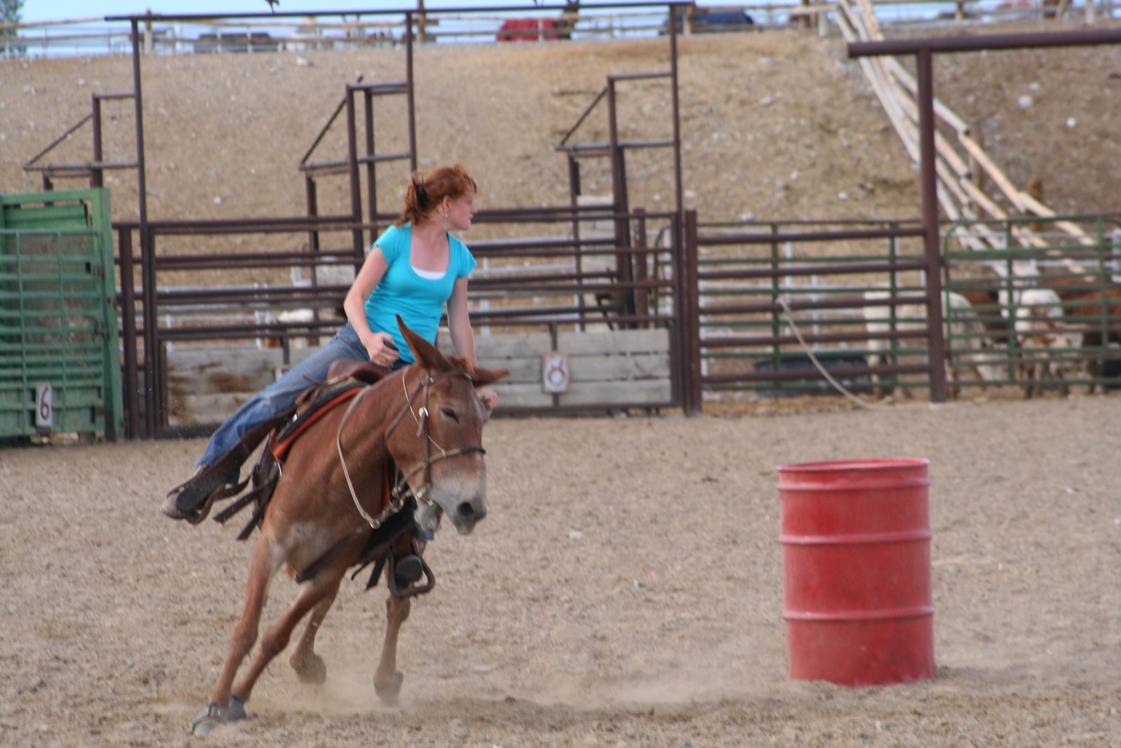 PairADice Mules: Jackpot Barrel Racing