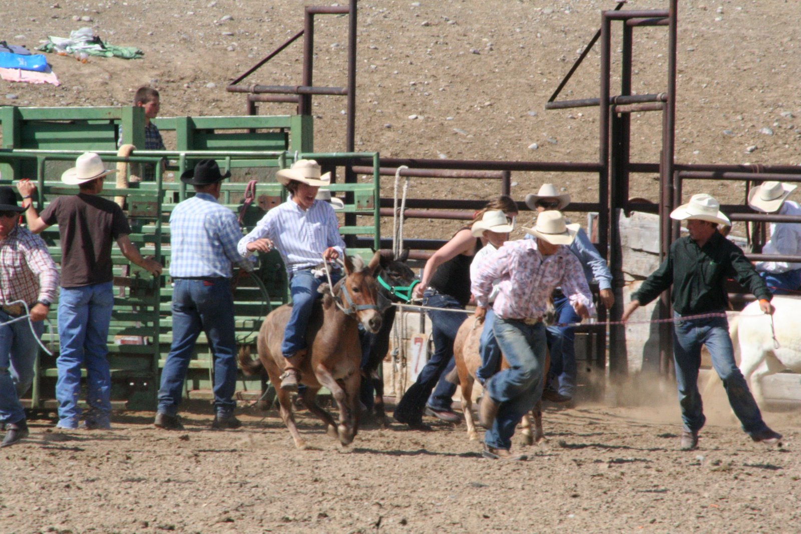 PairADice Mules: Last class of the Jake Clark Mule Days Rodeo