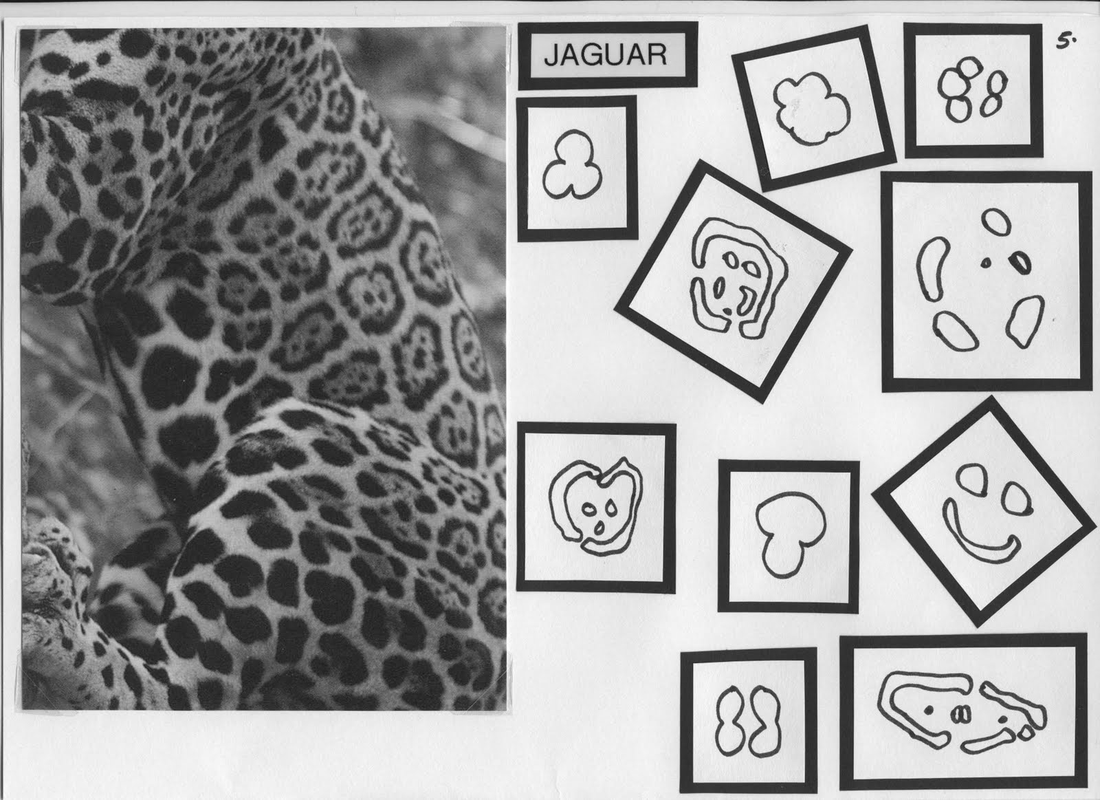 stitchestill: Drawing Patterns from Animal Markings Sheet 5