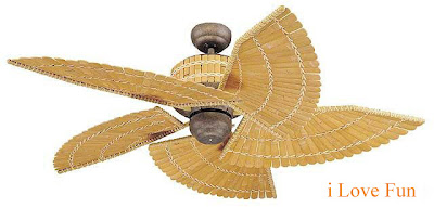 I Love FUN: Beautiful Ceiling Fan
