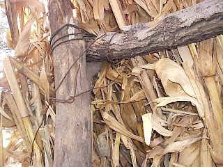 PROYECTO COMUNITARIO 2009: ¿Por qué de los Horcones?