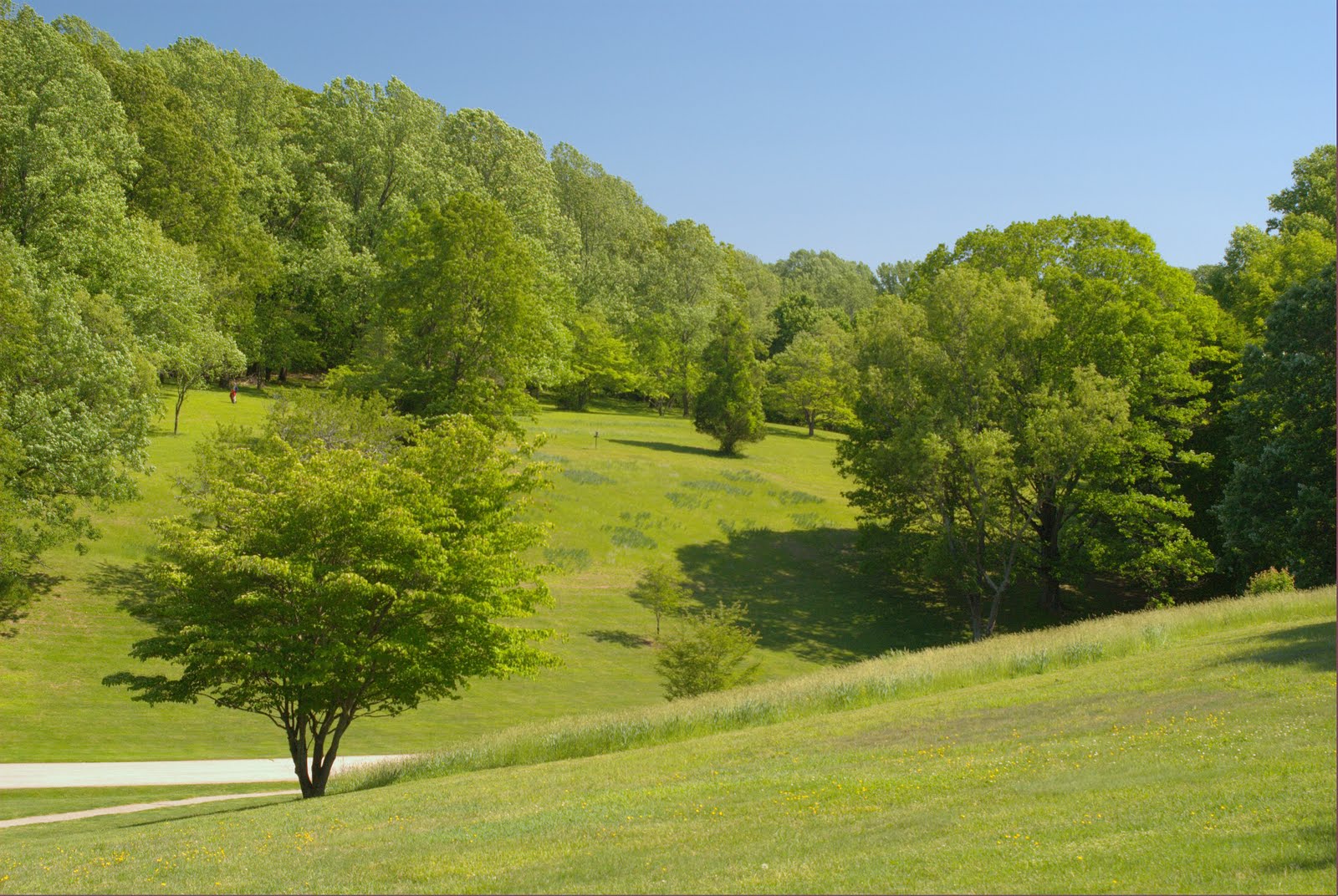 The Simple Layman: 05-10-10 More Pics Of Valley Garden