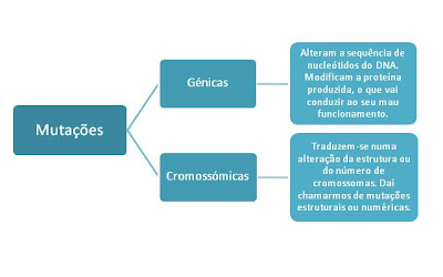 Mundo das Mutações: Mutações