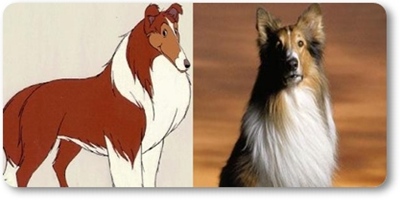 InfoAnimation.com.br: Lassie ganha novo desenho animado
