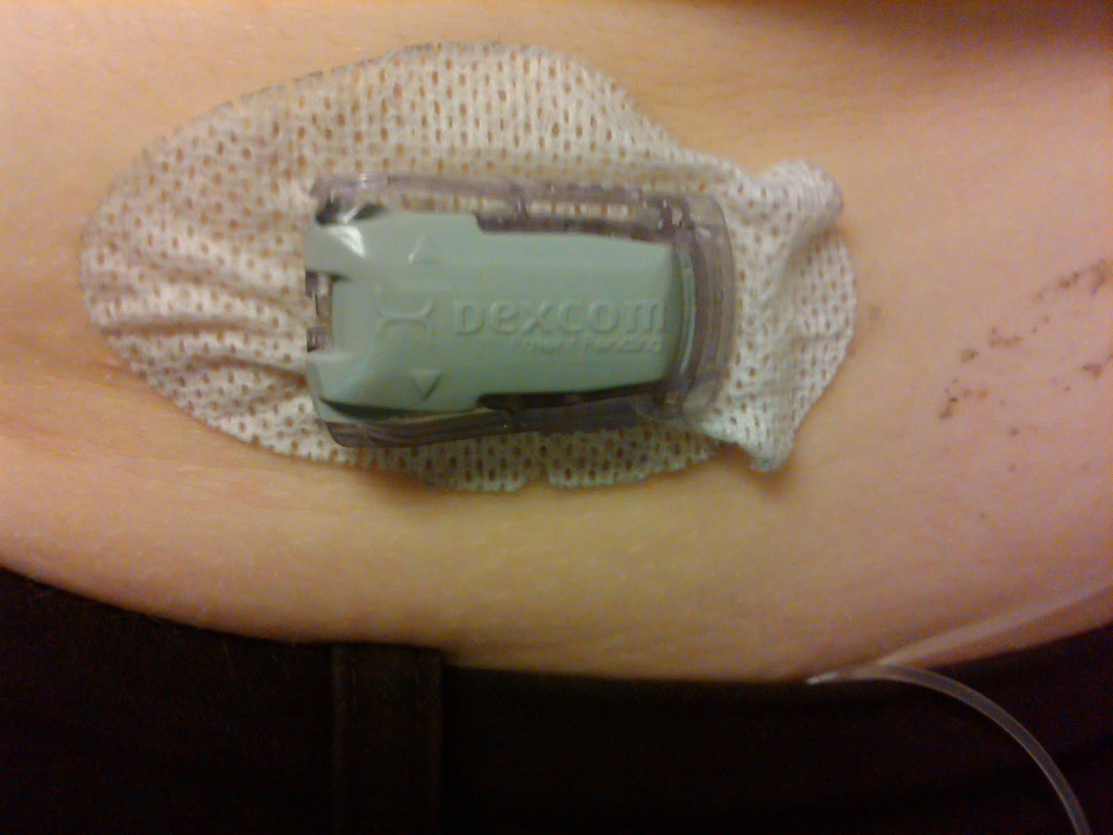 * Arnold and Me *: July 2010