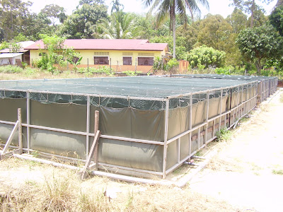 LAMAN FLORA ENTERPRISE: Ternakan Ikan Keli Kanvas