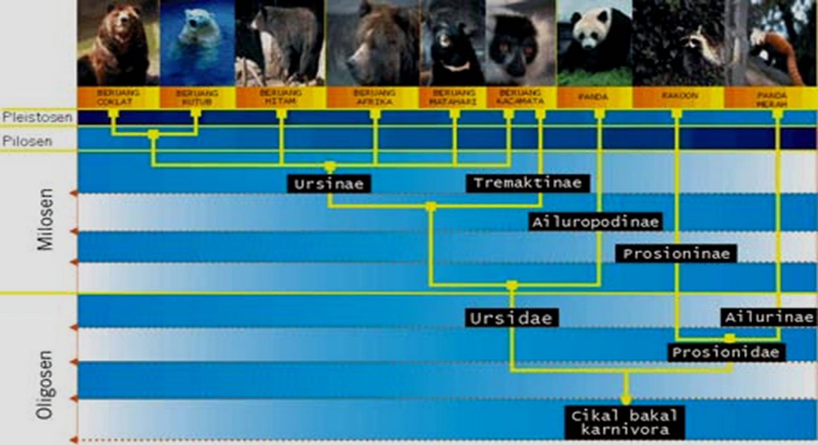 Biologi - Wira Usaha Kuliner: BIOLOGI SMA KELAS X