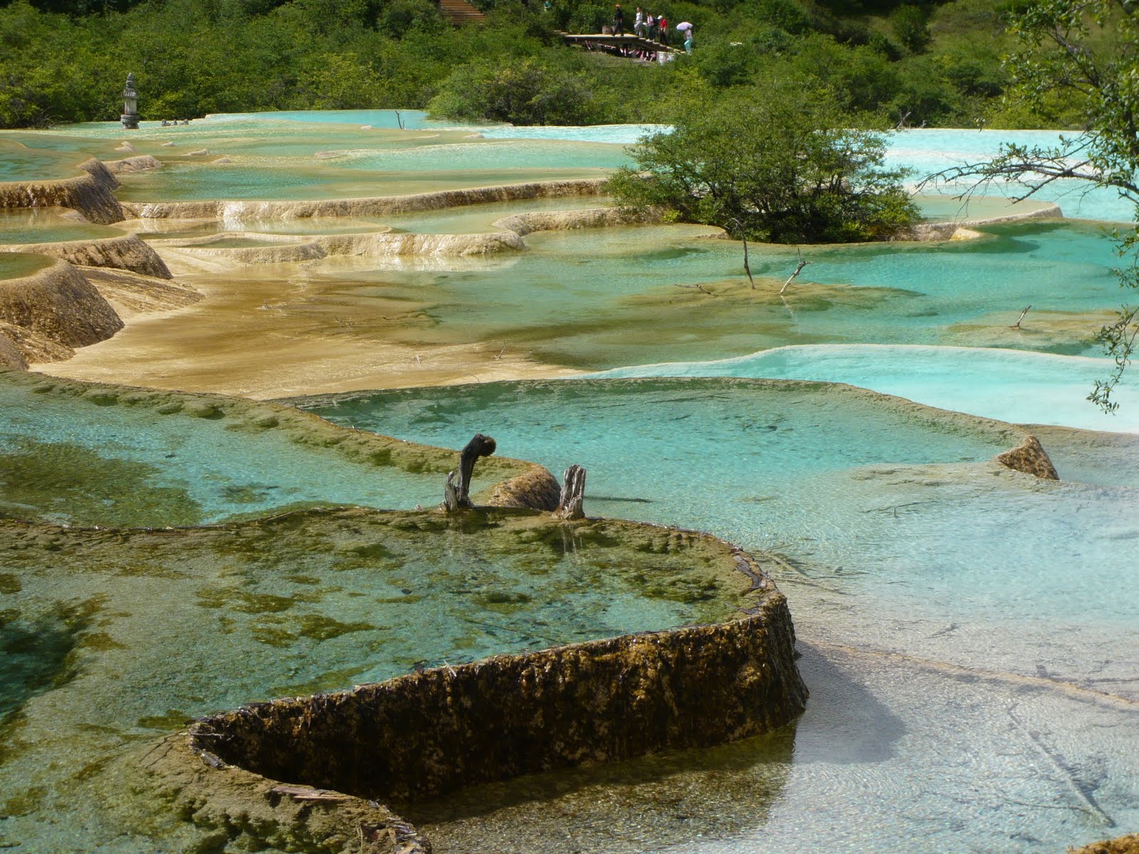 Welcome to my blog: Huanglong 黄龙