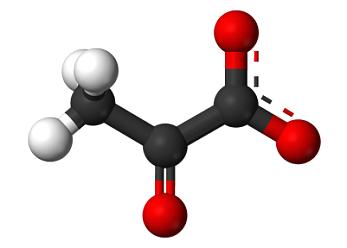 Piruvato | DIARIO DE UN FISICOCULTURISTA