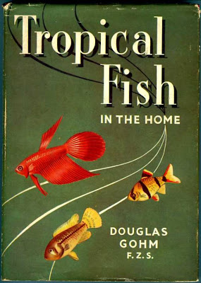 I've had dreams like that.: 05.2010