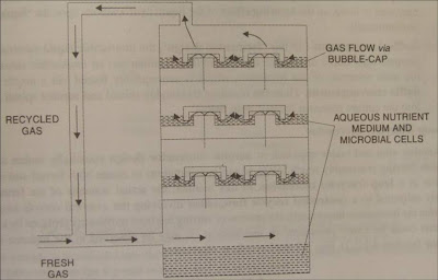 Fermentation technology: Different types of Fermenters