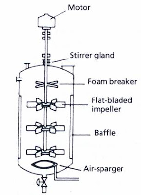 Fermentation technology: The Fermenter -Design and Engineering aspects
