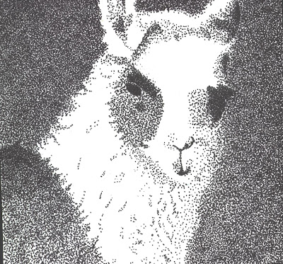 art @ the heart: Grade 10 Drawing: Stipple Animals