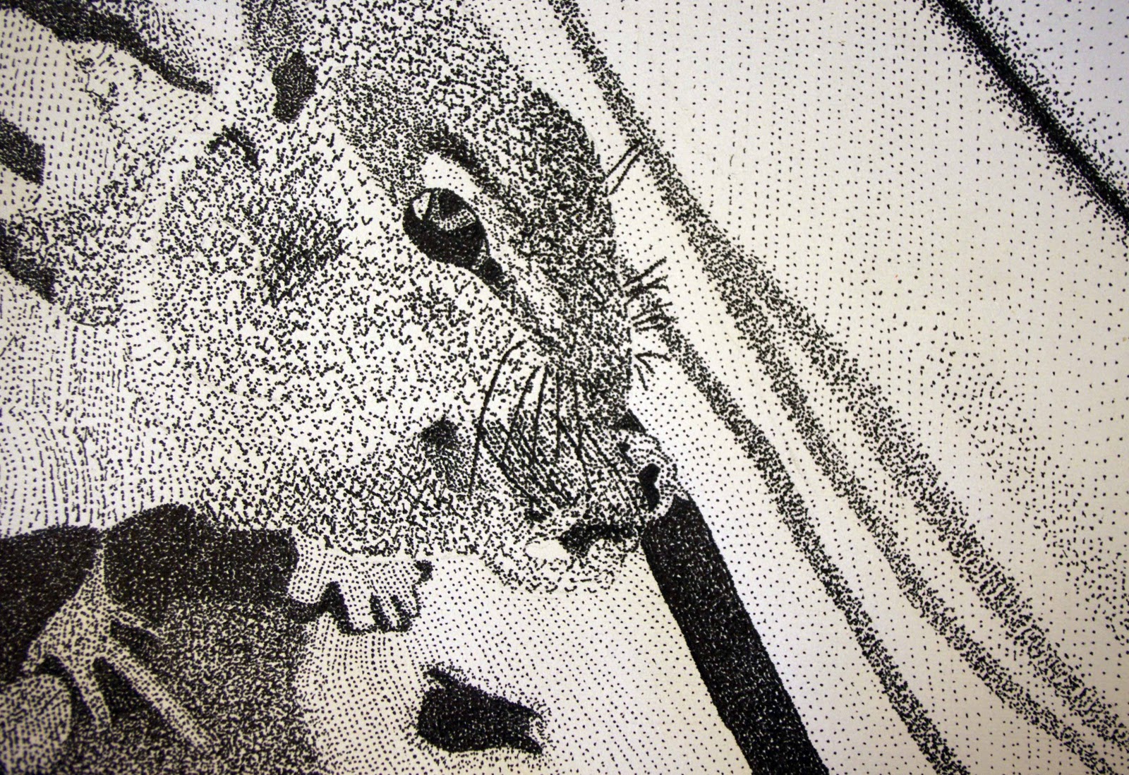 art @ the heart: Grade 9-10 Stipple Animals