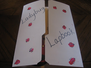 Tots and Me... Growing Up Together: Ladybug Lapbook