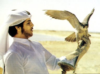 Qatar Falconry | Qatar Visitor - Travel Guide to Doha & Qatar