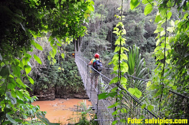 Batey Zipline Adventure Batey Zipline Adventure