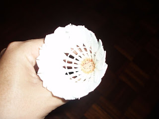 Borneotip: RCL Titanium Shuttlecock Review