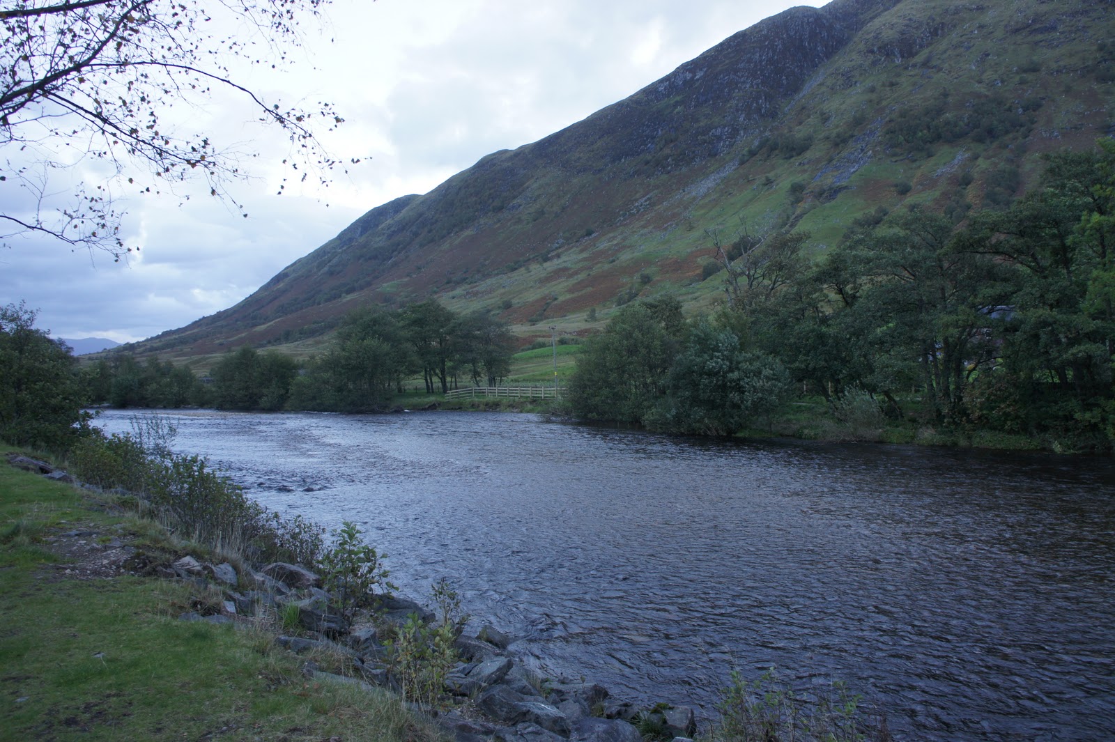 chat-huant's hoot hoot: 4th day: The day I tried squeezing a lot of ...