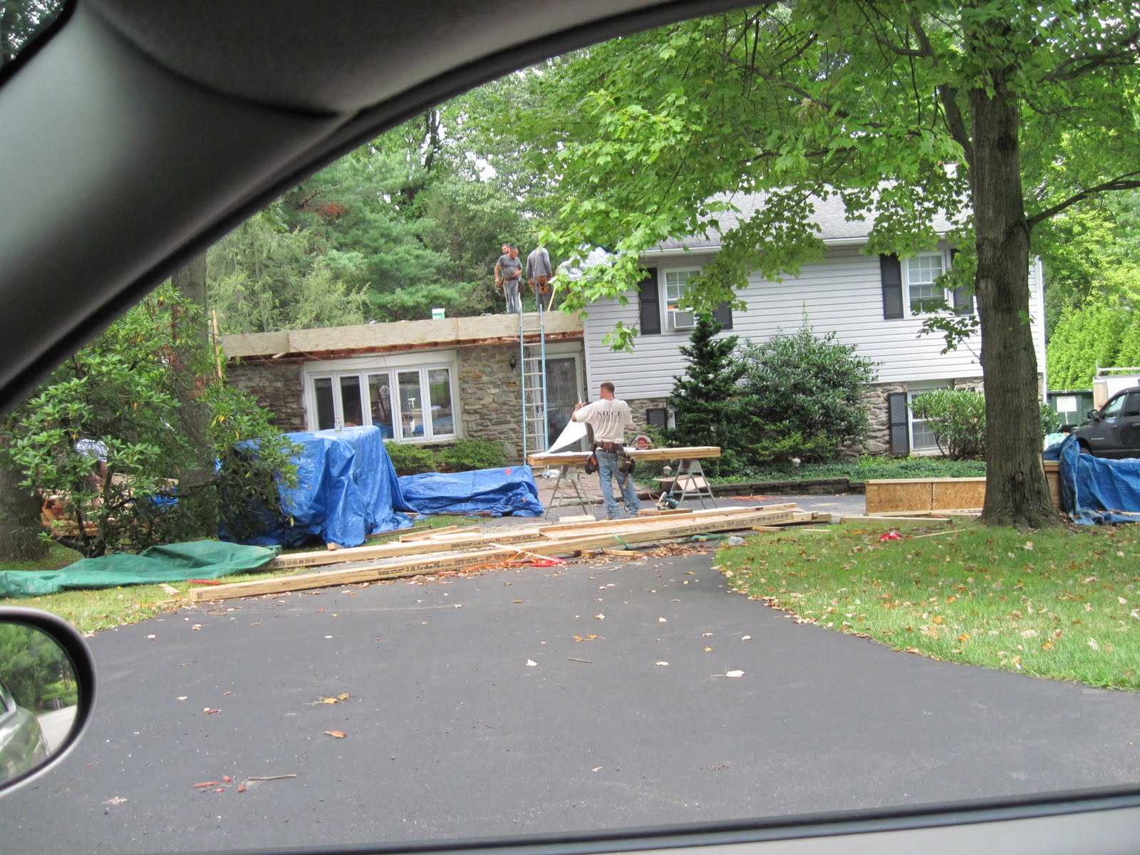 The Belle of Cowbell: The Bipolar Therapist from Willow Grove, PA ...