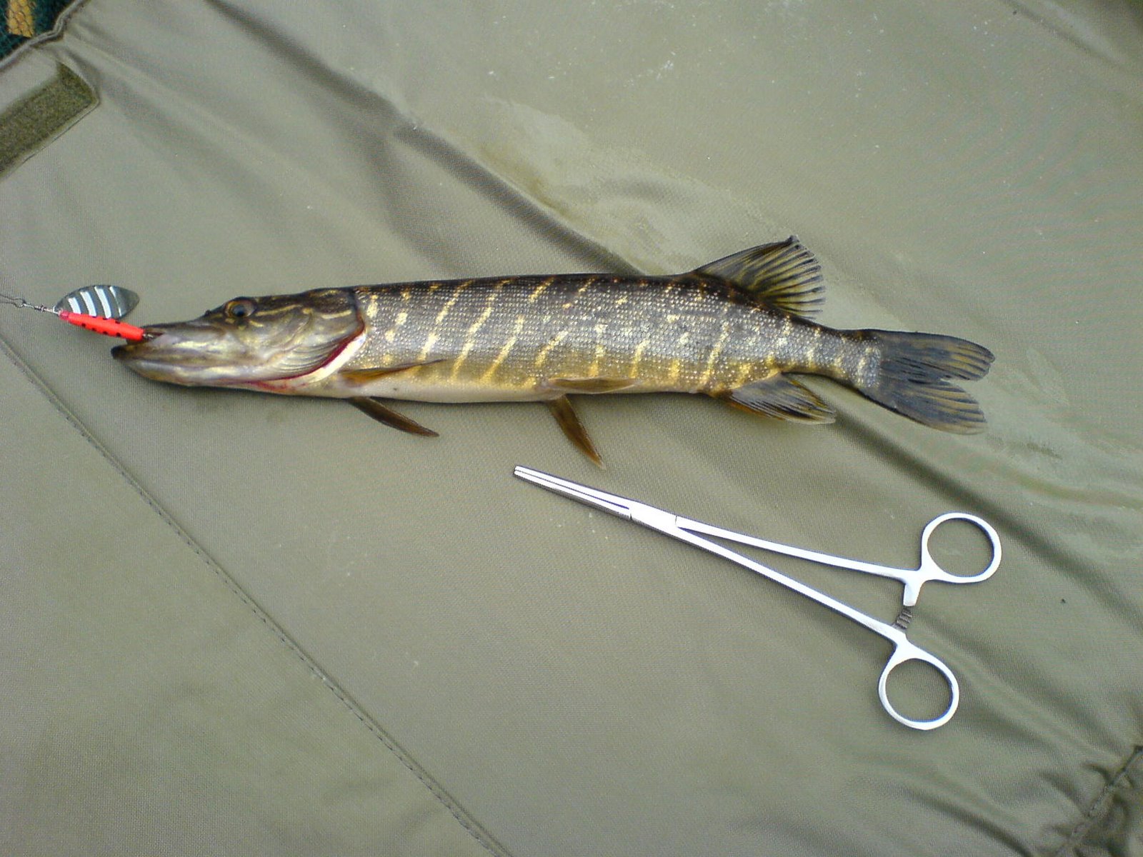 fishing « s20steve's Blog
