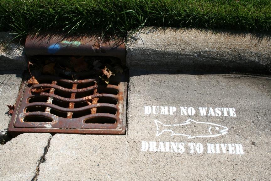 Eco Ocean: All Water Leads to the Ocean