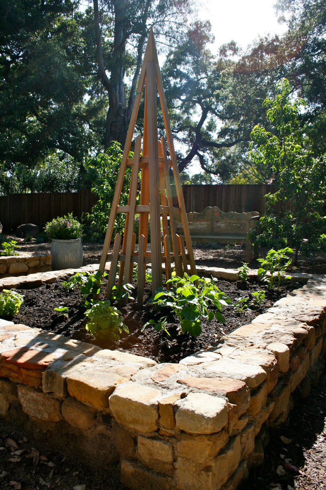 The Polished Pebble: Organic Vegetable Garden: Ojai
