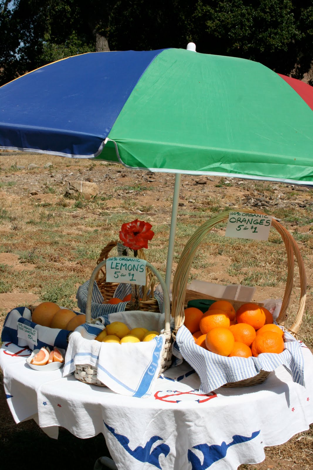 The Polished Pebble: Roadside fruit stands