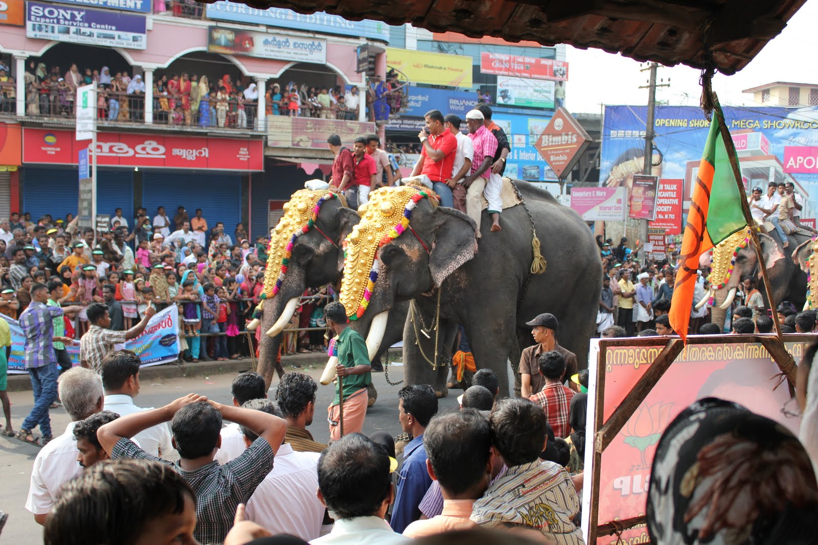 Indian Dispatches: Elephants On Parade