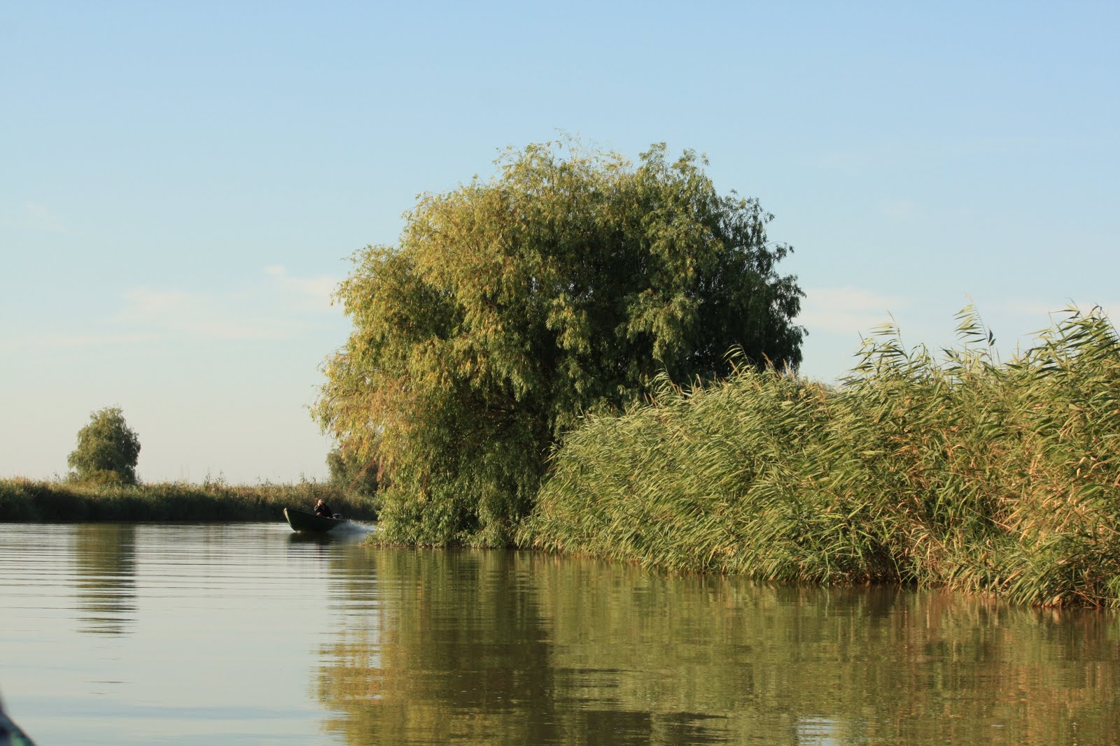 Ilyen a természetünk: Madárlátta Duna-delta