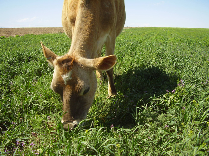 Faith Formation : 2010-11-28