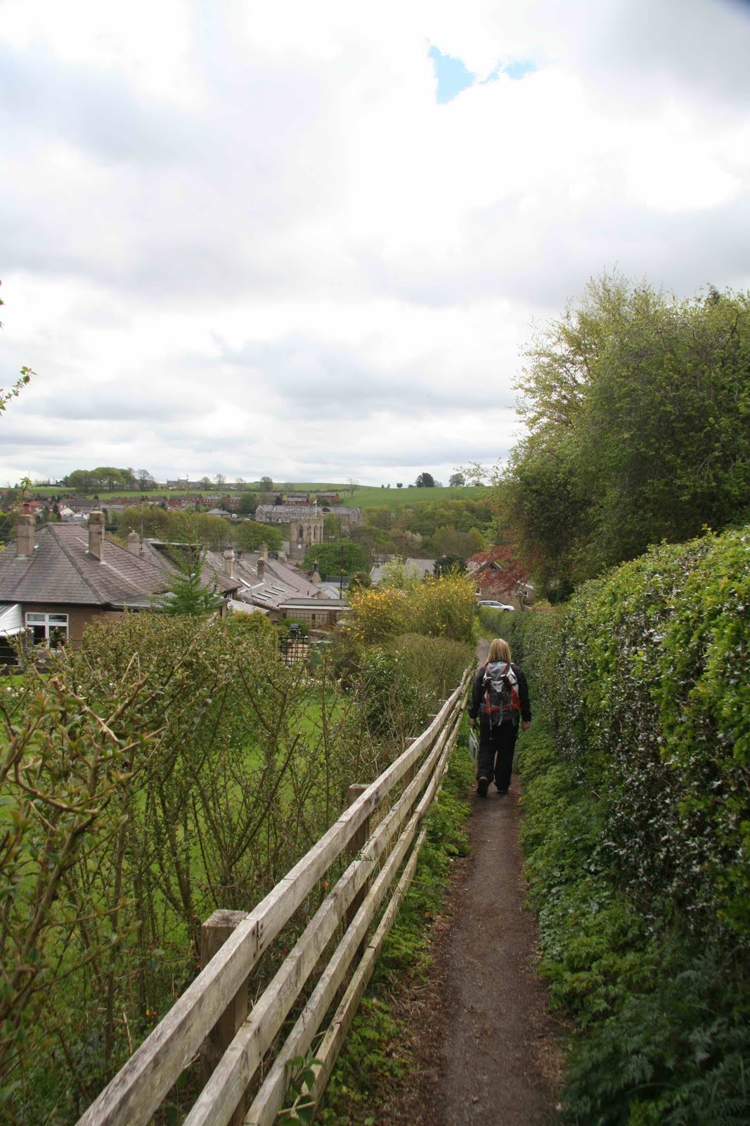 Treks and Tours: Northumberland Day 2 9th May: Above Rothbury Walk