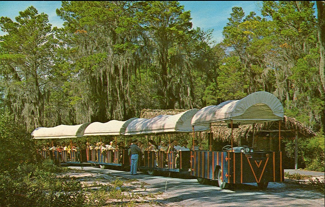 Vintage Travel Postcards: Weeki Wachee, Florida
