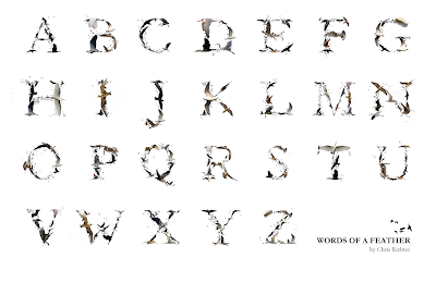 Crazy Punk Cool: Experimentation With Letterforms