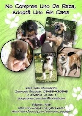 patitas.com: Barbincho.