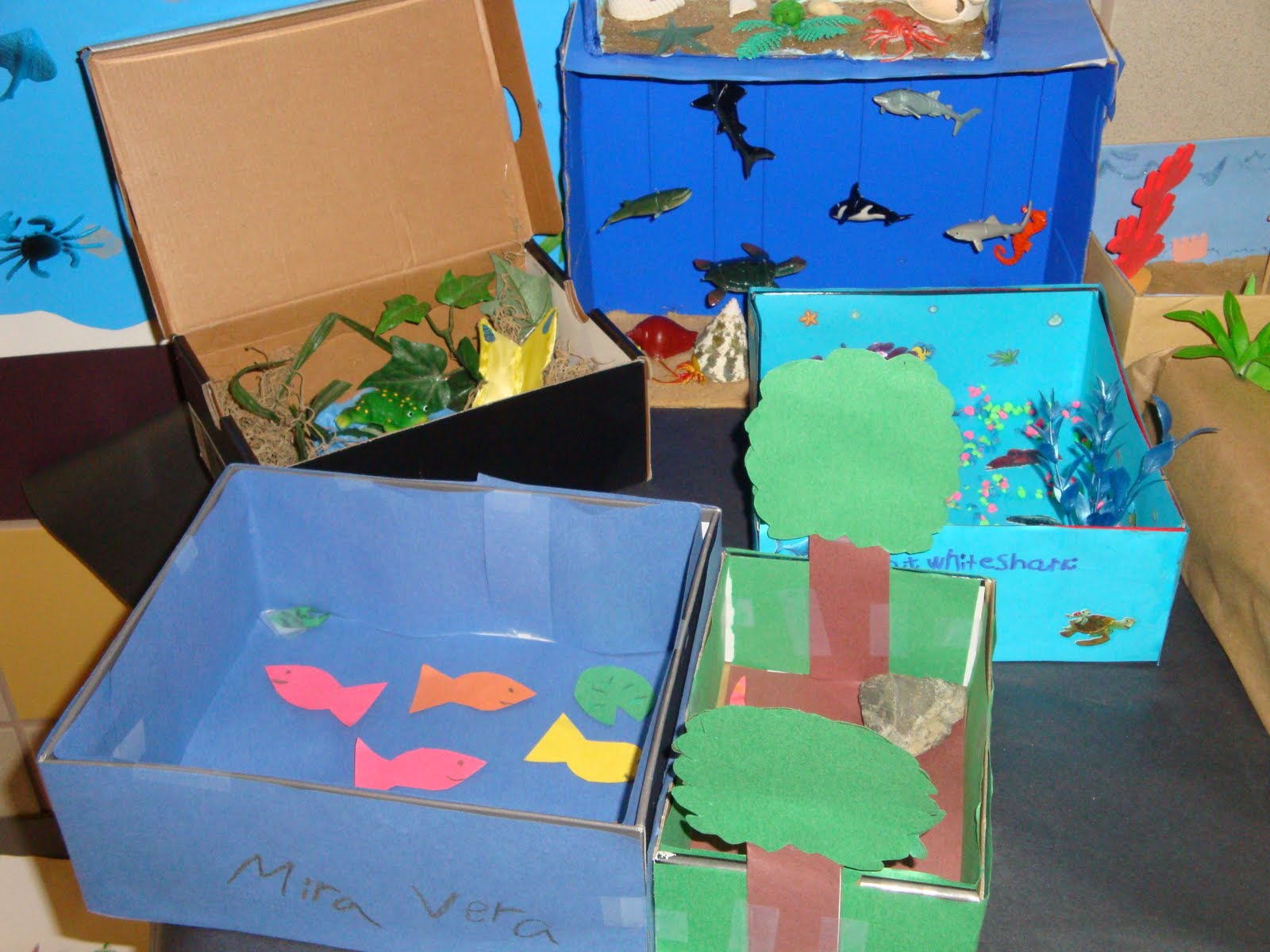 Learning Adventures: Ocean and Pond Habitats