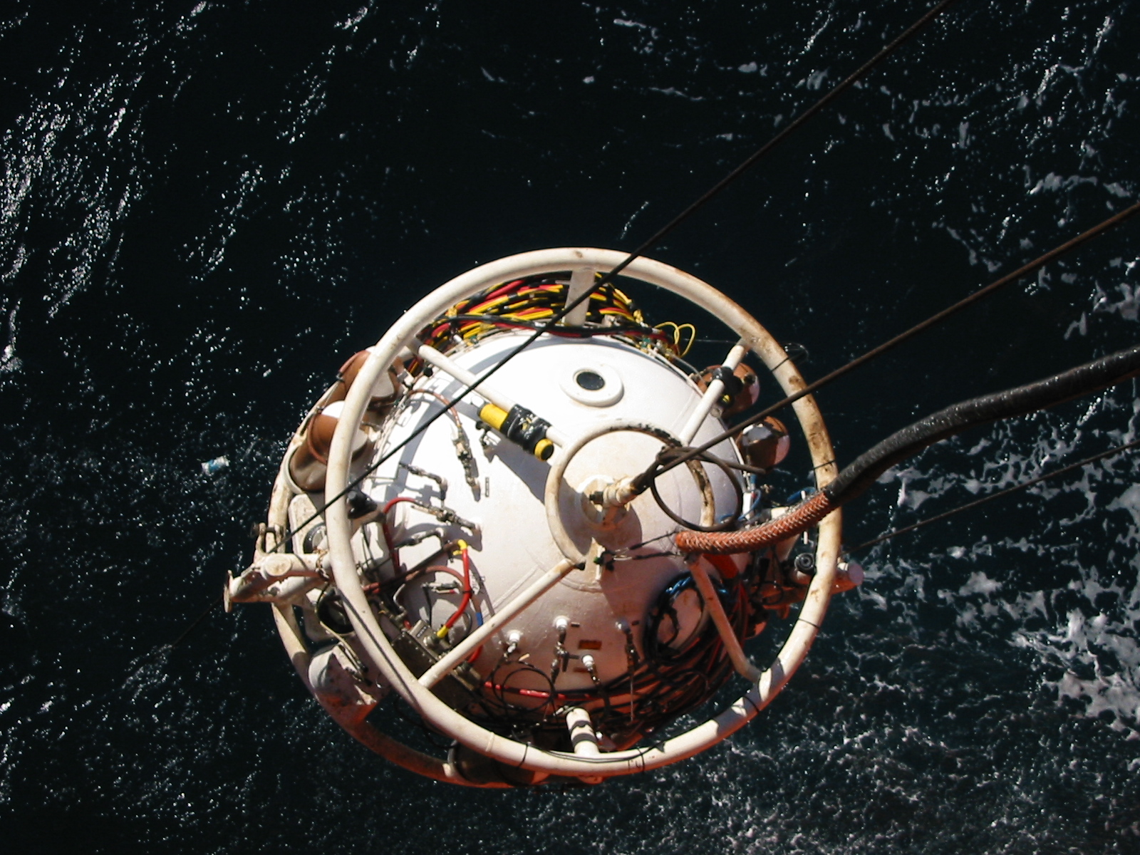 Traveling Marine Biologist: Cal Dive Commercial Scuba Divers; a Mental ...