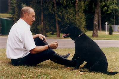 Vê se toma vergonha...: Labrador de Vladimir Putin ganha coleira ...