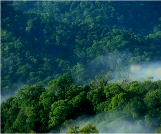 Catrachos Tour: La Mosquitia