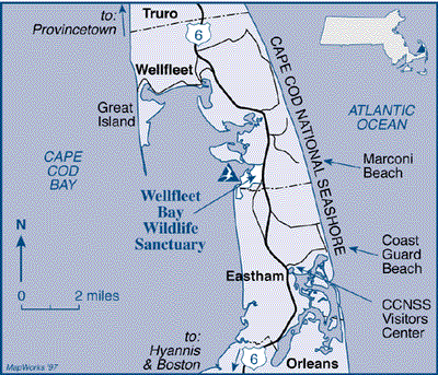Wellfleet Bay Wildlife Sanctuary - 'Sanctioned' Space