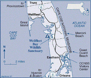Wellfleet Bay Wildlife Sanctuary - 'Sanctioned' Space
