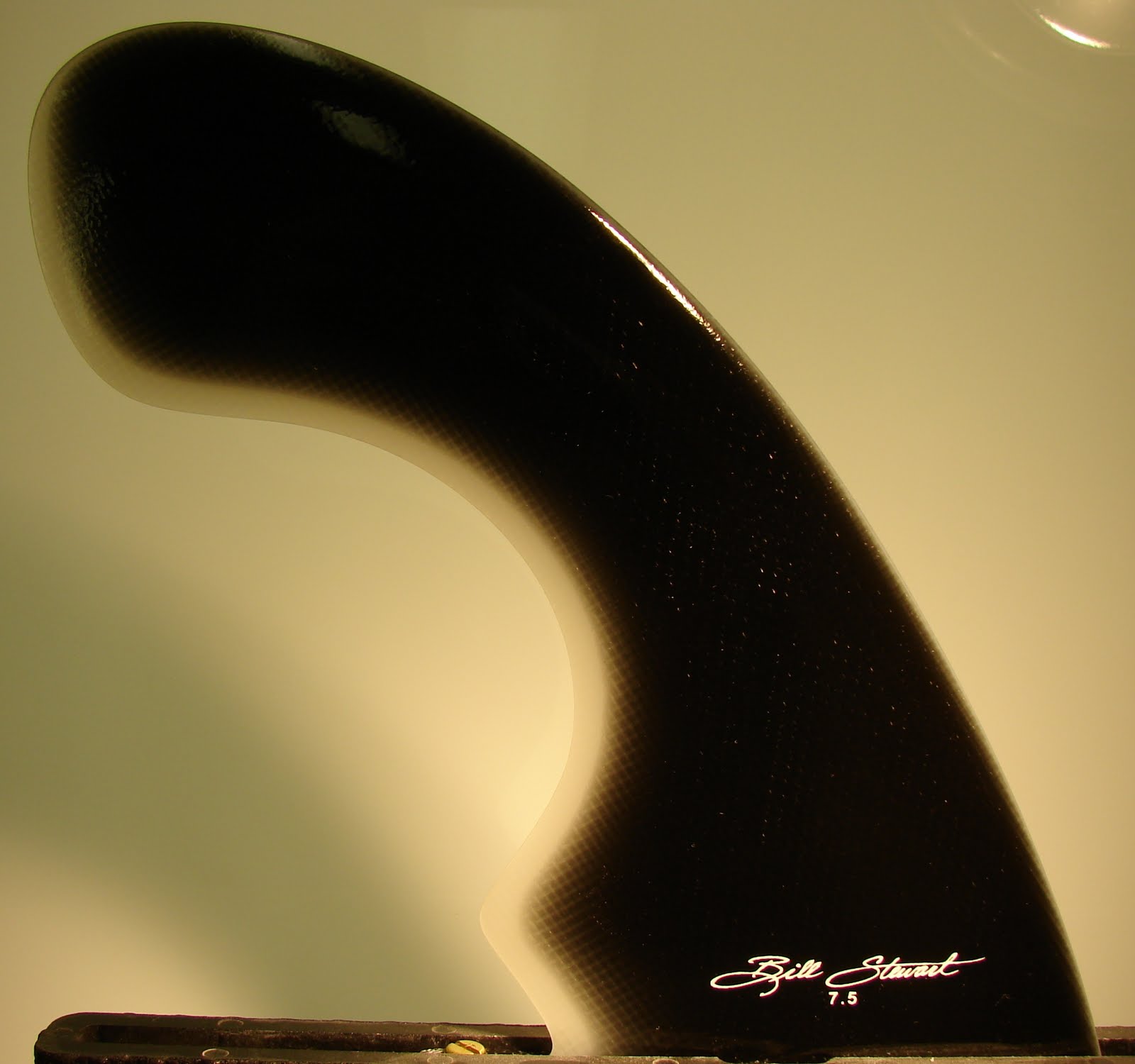 Stand Up Fins by Larry Allison