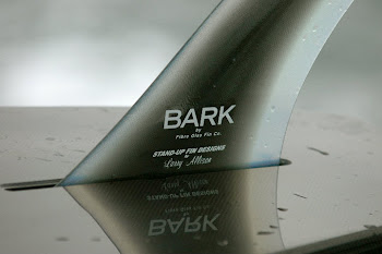 Stand Up Fins by Larry Allison