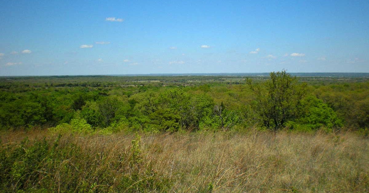 Ramblings Around Texas Lbj National Grasslands