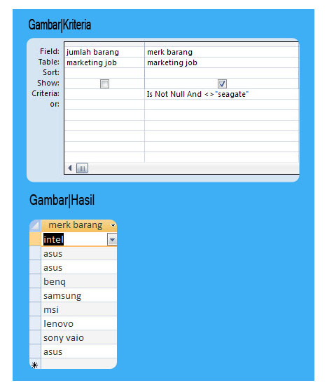 Lukas: Membuat Query dan Criteria Menggunakan Microsoft Office Access 2007