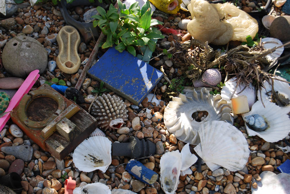 Made: Paddy Hamilton