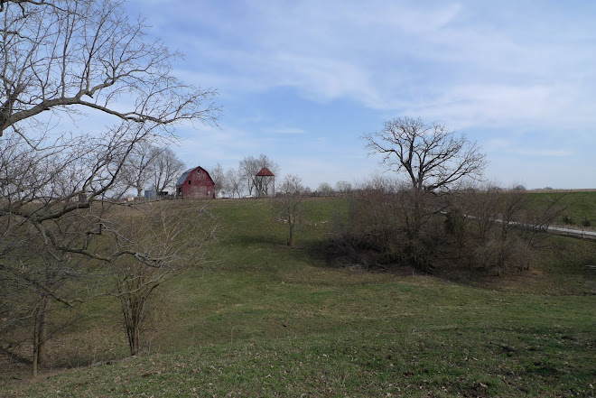 Permavorism: Enter the Permavore