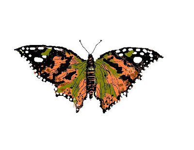 el mèlich: La papallona