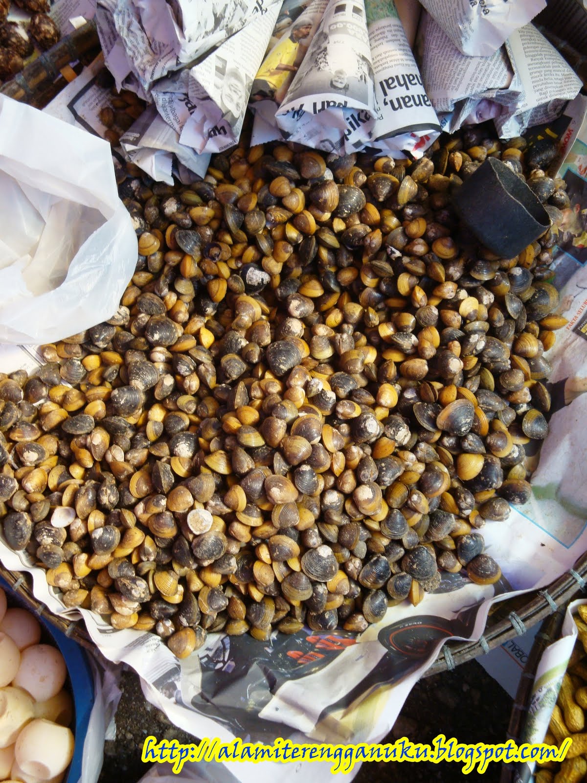 Alami Terengganu: Etok-Etok (Etak)