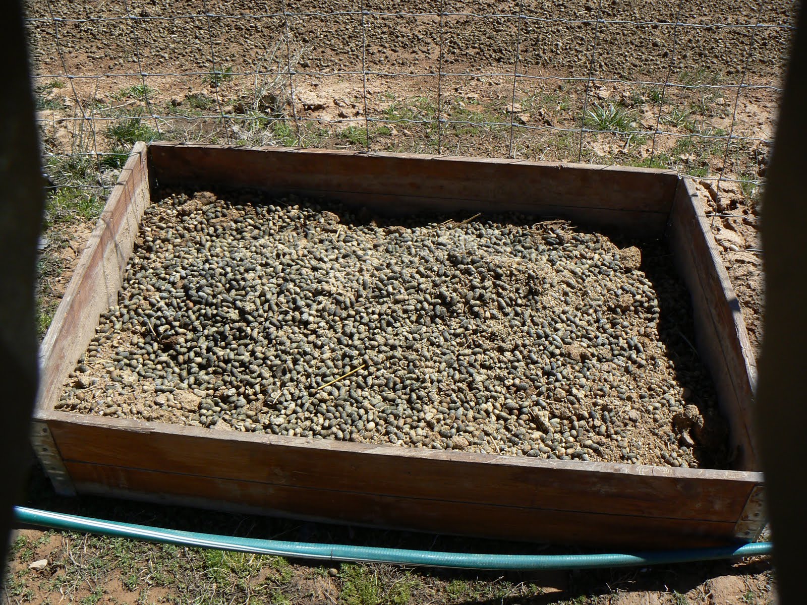 Little Utah Farm: LLAMA BEANS FOR EVERYTHING--Our Farm Journal For All ...